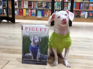 The Piglet Book - Piglet, the deaf blind pink puppy