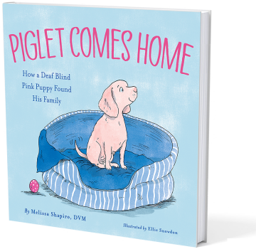 Piglet, the deaf blind pink puppy