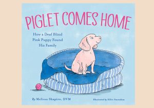 Piglet Mindset® Educational ProgramInfo, Lesson Plans, and Materials ...